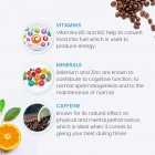 Viaman Viper Pro | Male Performance Supplement | ShytoBuy